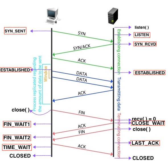 TCP/IP