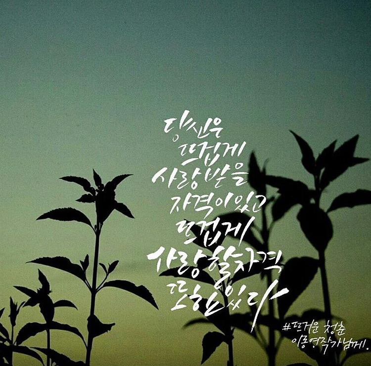 청춘, 팩트체크(좋은글)