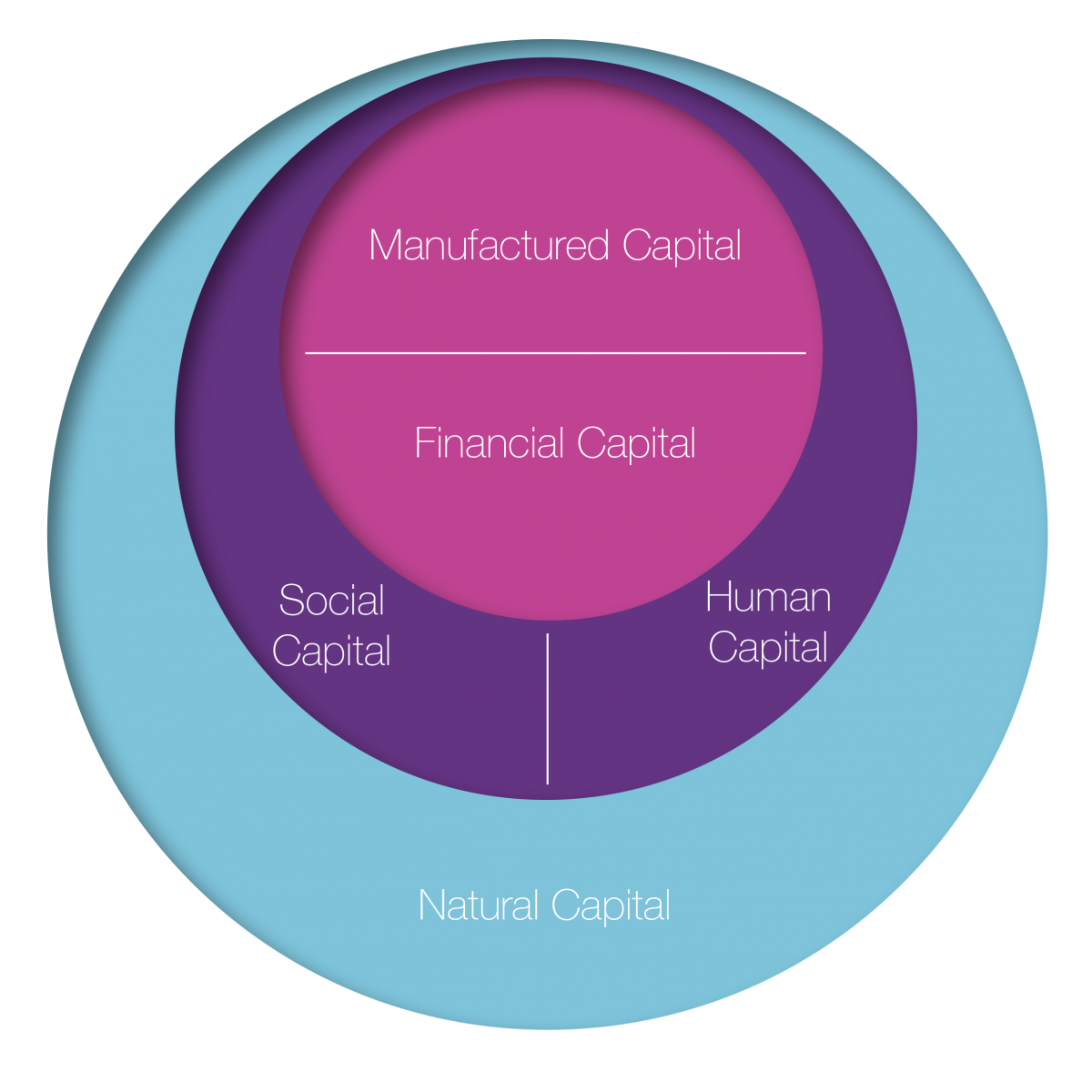 5가지 자본 (Five Capitals)