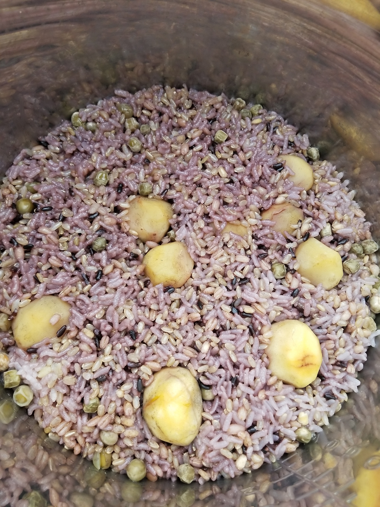 Instant Pot 요리 《영양 잡곡밥》