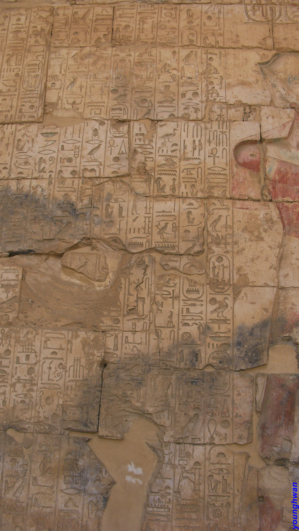 이집트 아비도스 신전 Abydos Temple 신전내 상형문자 기록들