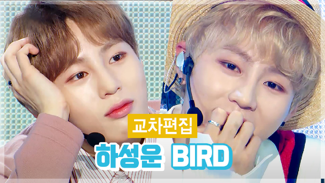 다음연예 | 《스페셜X교차편집》 하성운 - BIRD(HA SUNG WOON - BIRD) - 2019.03.16 쇼 음악중심 625회