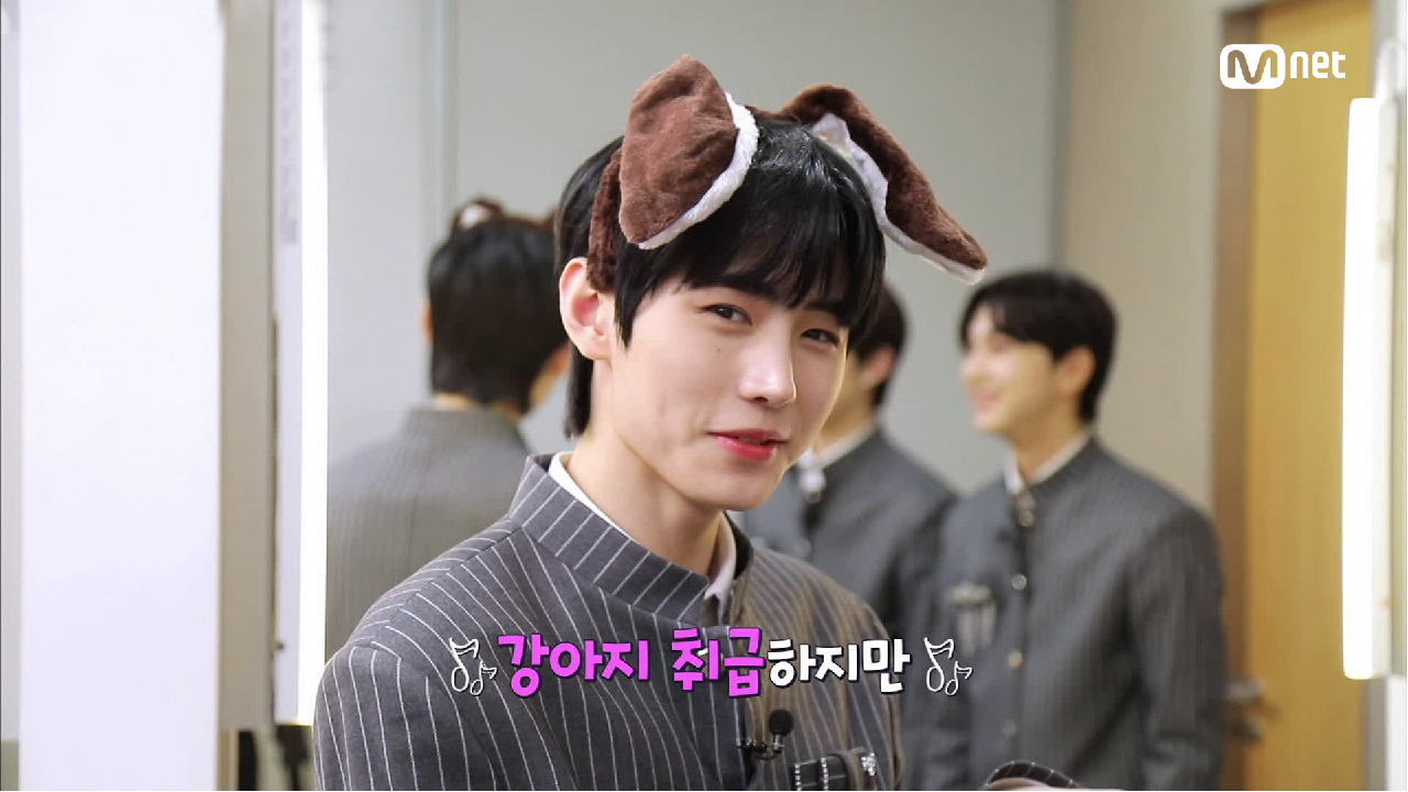 다음연예 | 'Today's MCD' 엔하이픈의 데뷔 미션! 라인업을 소환하라☆ (with 엔하이픈) | Mnet 201217 ...